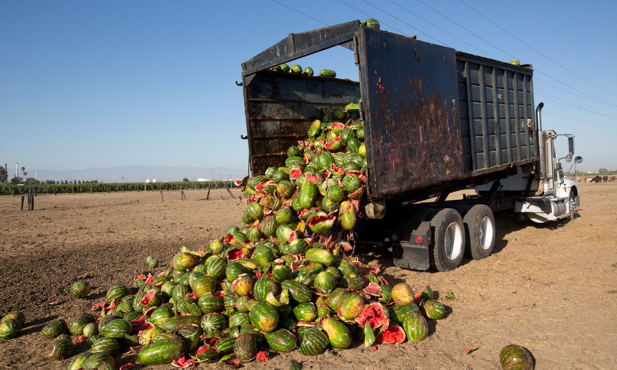La mitad de toda la comida en EEUU es desechada - Plumas Atómicas