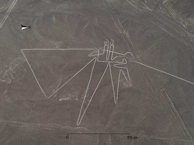 Fotos revelan nuevos jeroglíficos en Líneas de Nazca Perú