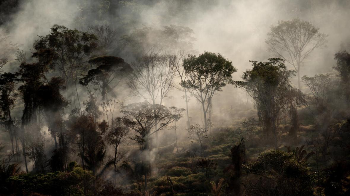 Se disparan nuevamente los incendios en el Amazonas