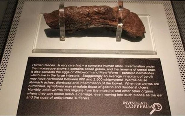 Exhiben popó más grande de la historia; habría pertenecido a un vikingo ...