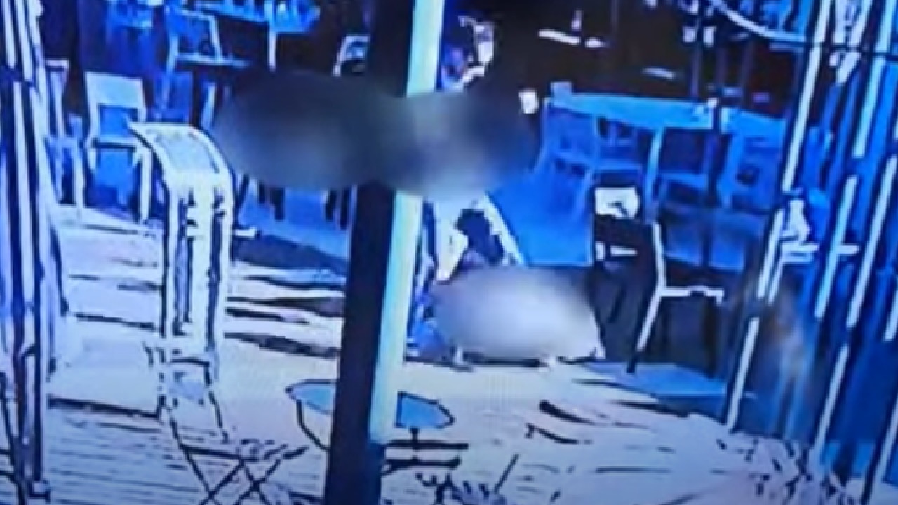 Video: En Argentina un hombre mató de una patada a un perro para salvar ...