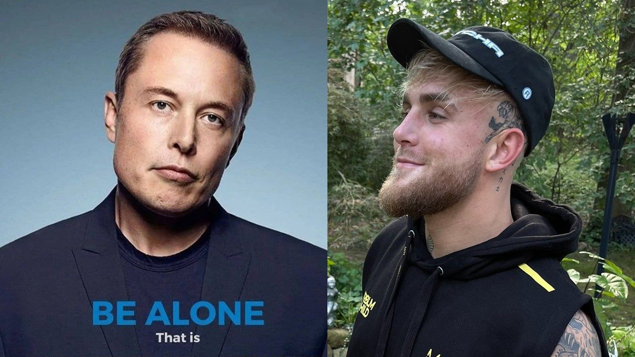 Youtuber Jake Paul donará 10 MDD a la causa si ONU cumple el desafió de ...