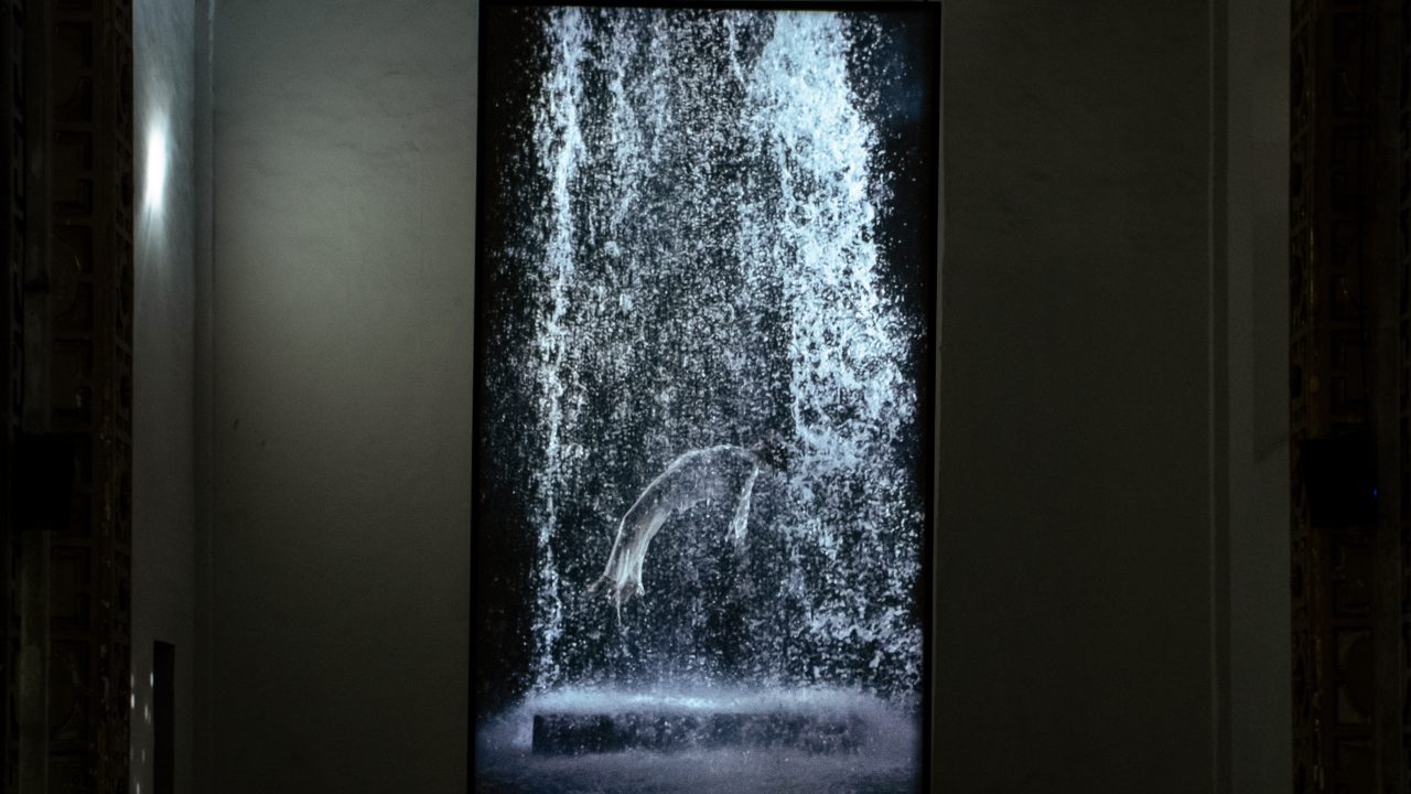 Bill Viola: Tiempo Suspendido, un viaje introspectivo en el Ex Teresa ...