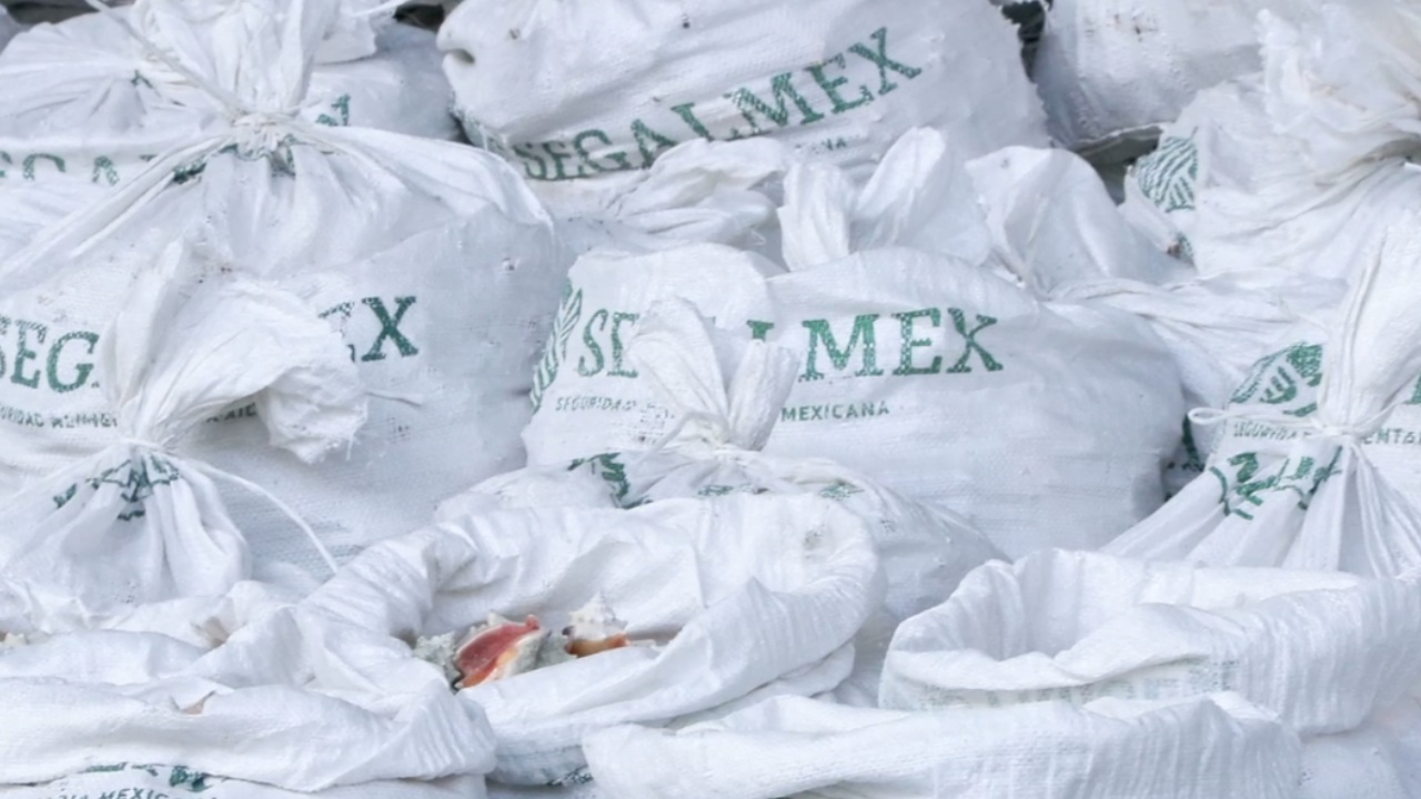 Segalmex se deslinda de cargamento de metanfetaminas decomisado en Hong ...